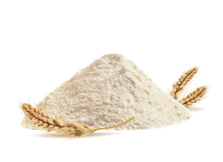 Mega Flour - Exclusive Distributor of Prima Flour & Premium Premixes